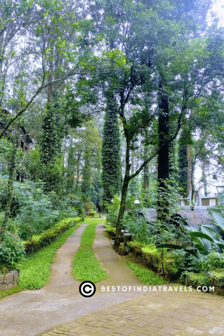 Yercaud hill station – Must-visit hill station in Tamil Nadu