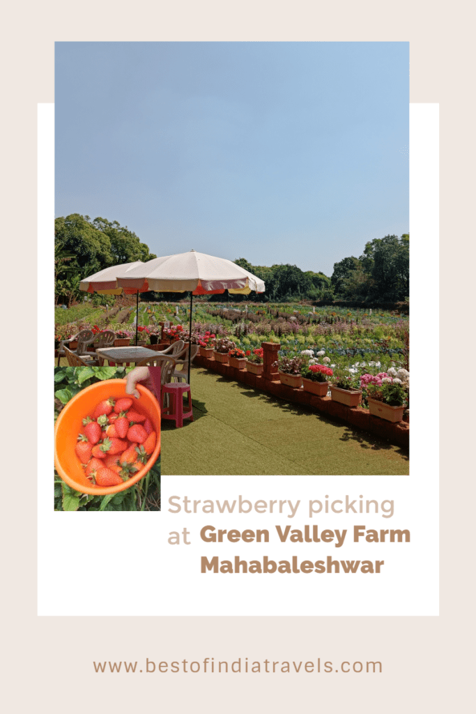 Meher Retreat Pune: Guide to the Best One-Day Picnic Spot (Prices ...