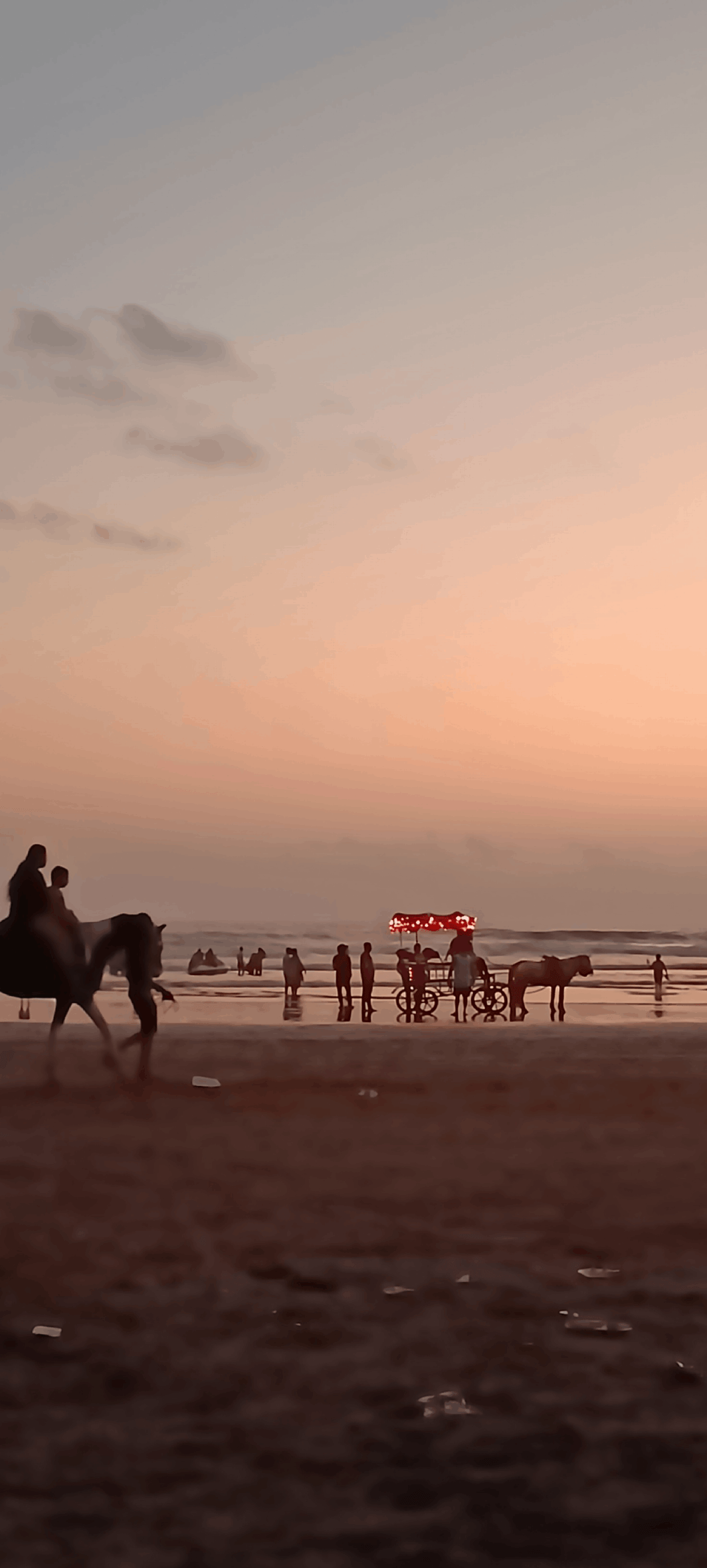 Why is Dapoli beach a popular tourist destination in Maharashtra?